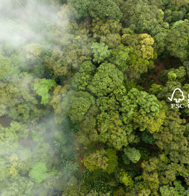 Aligning with emerging regulations | Forest Stewardship Council